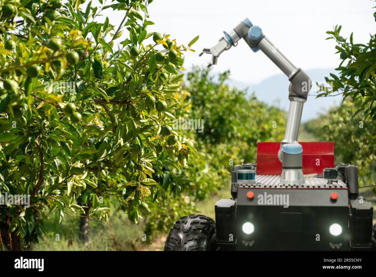 Robot-récolteuse autonome avec bras robotisé pour récolter des fruits sur une ferme intelligente ...