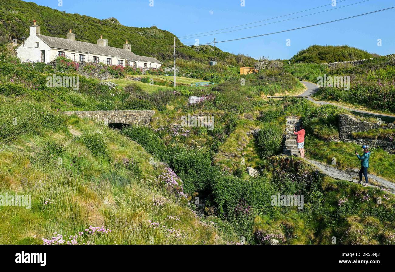 Une scène pittoresque à Pembrokeshire tandis que les gens visitent ...