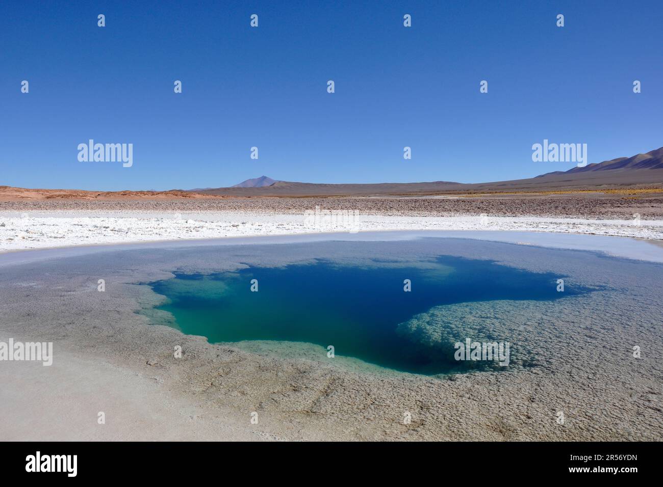 Ojos del mar Banque de photographies et d’images à haute résolution - Alamy