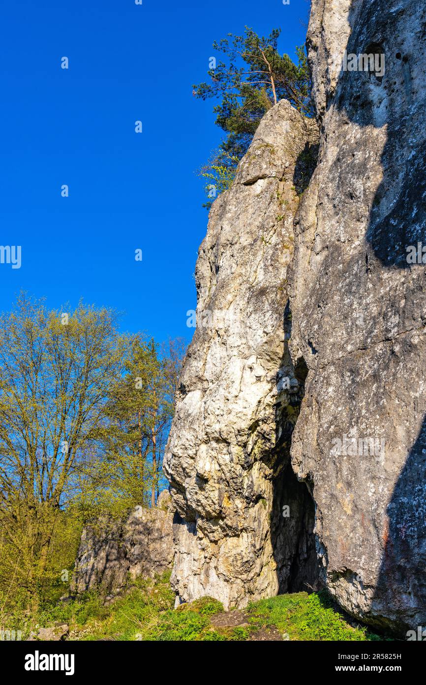 Labajowa et Lipna Sciana roche calcaire et mur d'escalade dans la ...