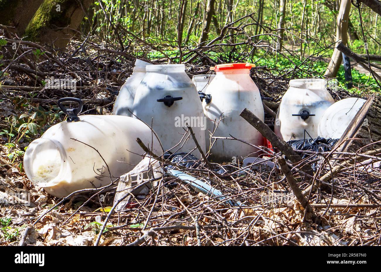 Débris de construction dans les bois. Déchets forestiers et ménagers ...