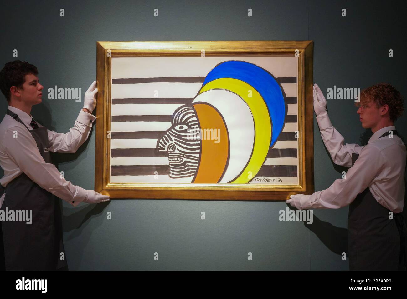 La collection robin et rupert hambro Banque de photographies et d ...