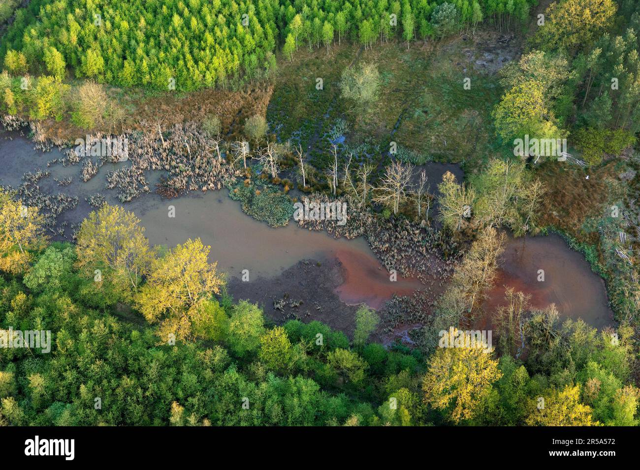 Grote nete Banque de photographies et d’images à haute résolution - Alamy