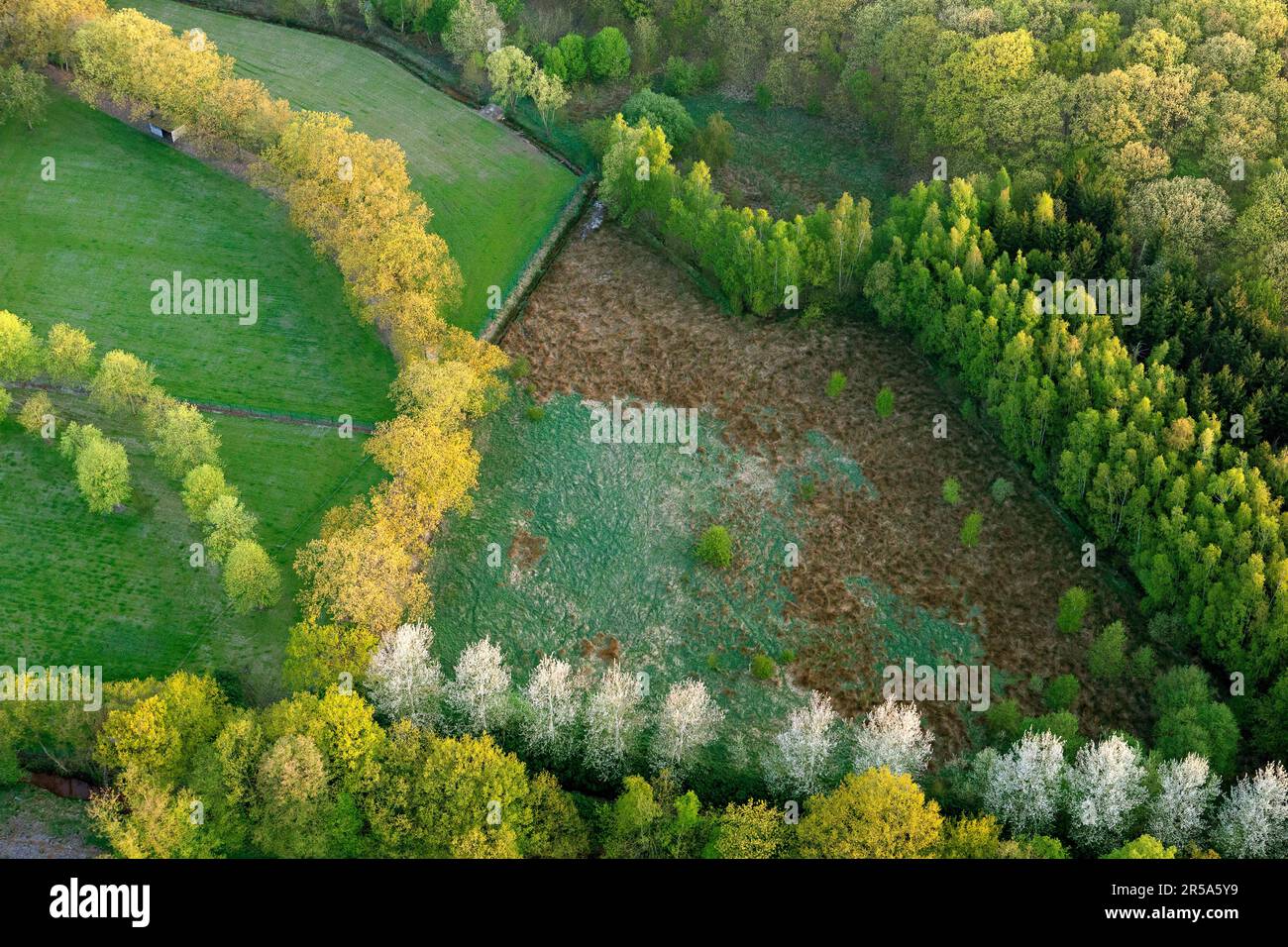 Grote nete Banque de photographies et d’images à haute résolution - Alamy
