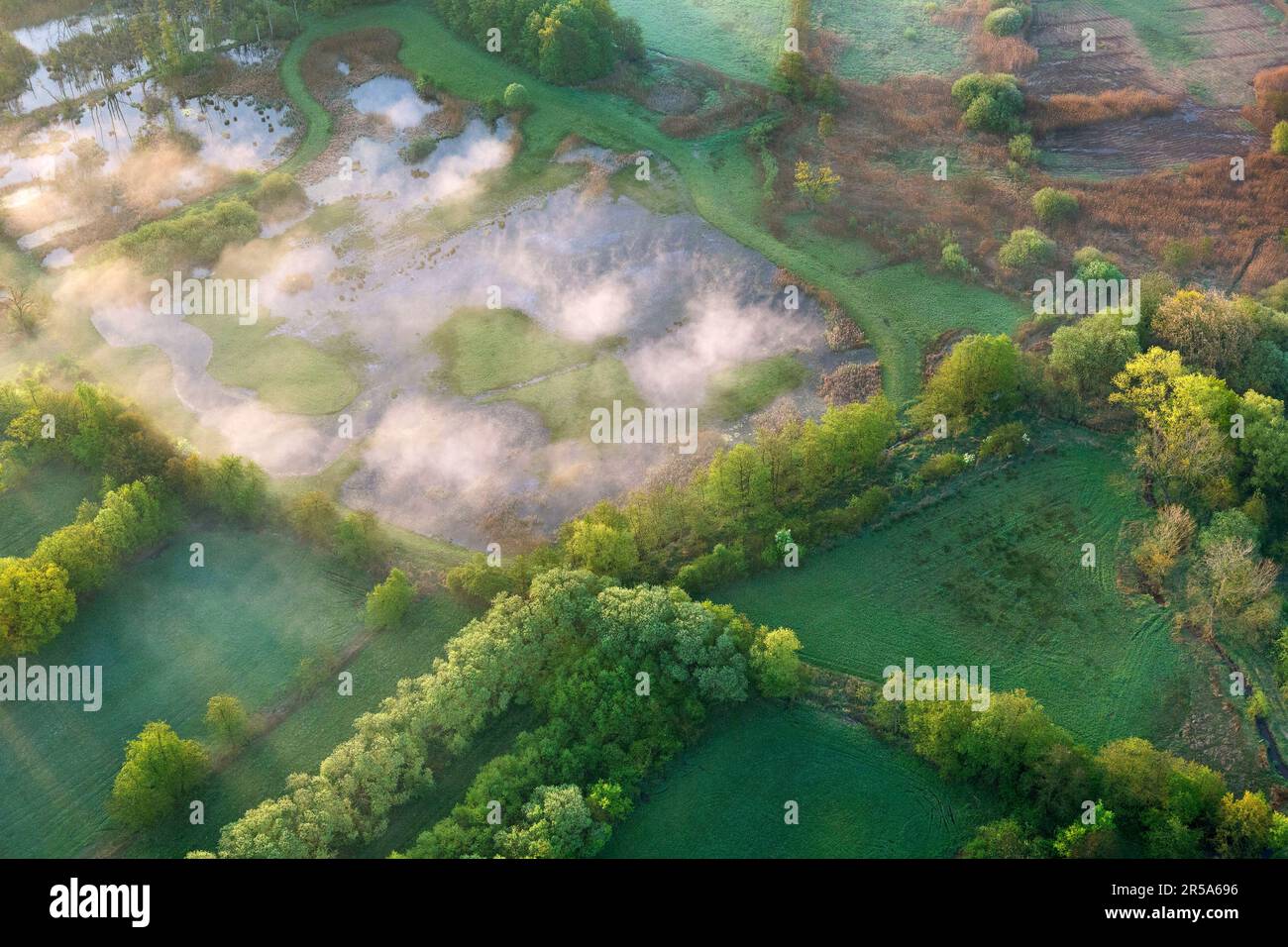 Grote nete Banque de photographies et d’images à haute résolution - Alamy