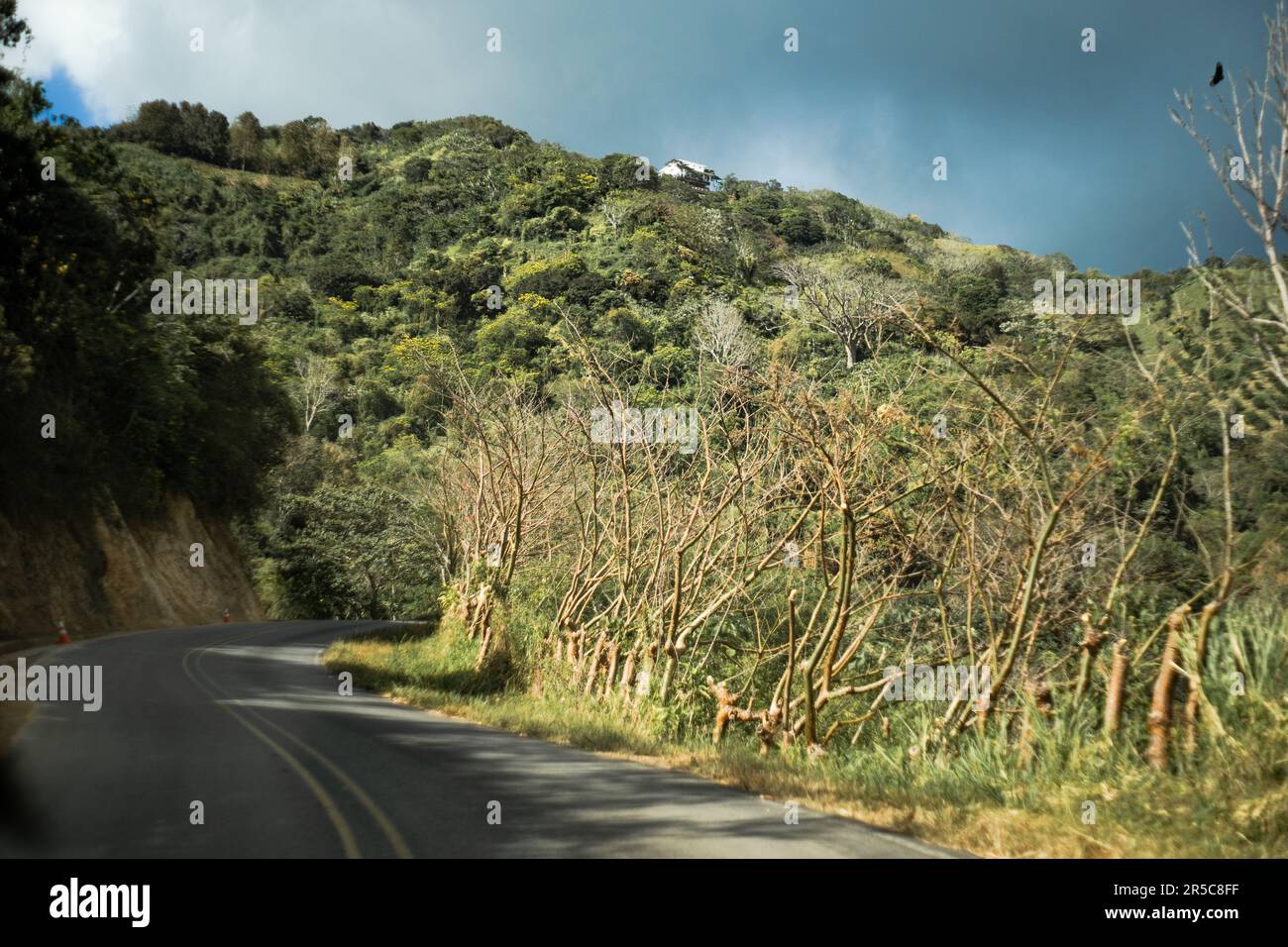 Une scène idyllique d'une route rurale, avec une voiture roulant sur l ...