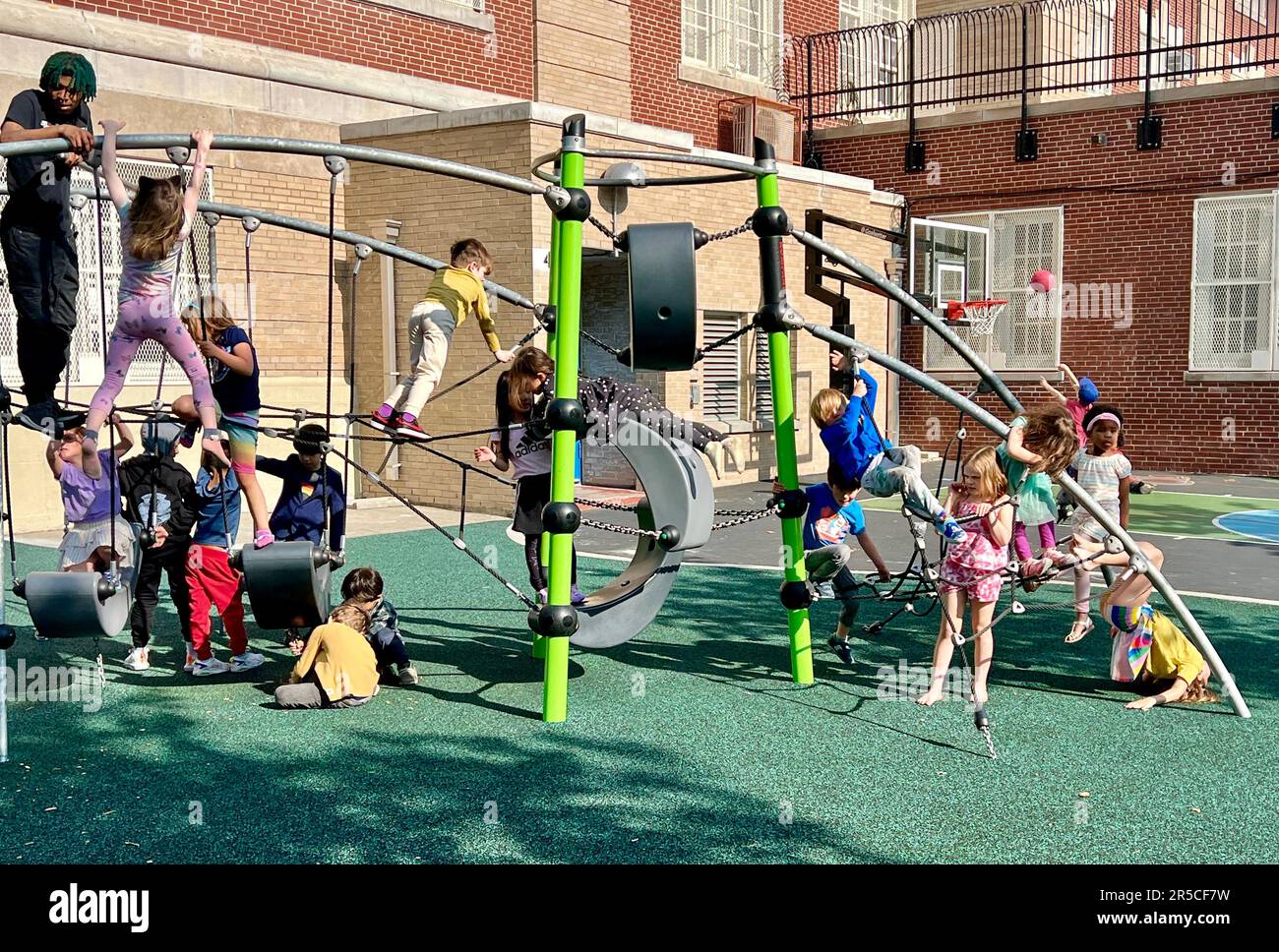 Les enfants s'amusent dans une salle de gym de la jungle dans un ...