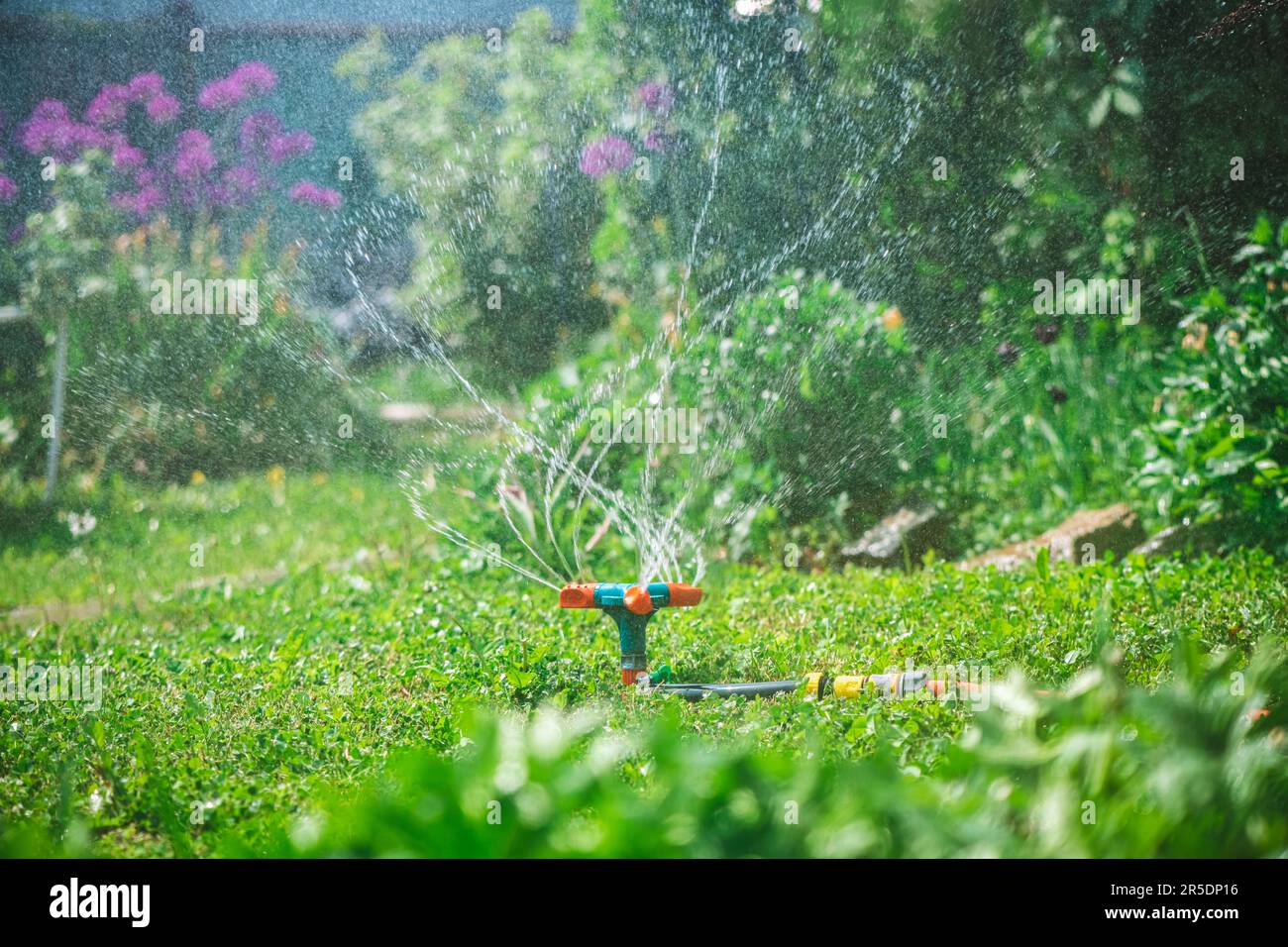 Système d'arrosage automatique de jardin paysager avec différents arroseurs rotatifs installés ...