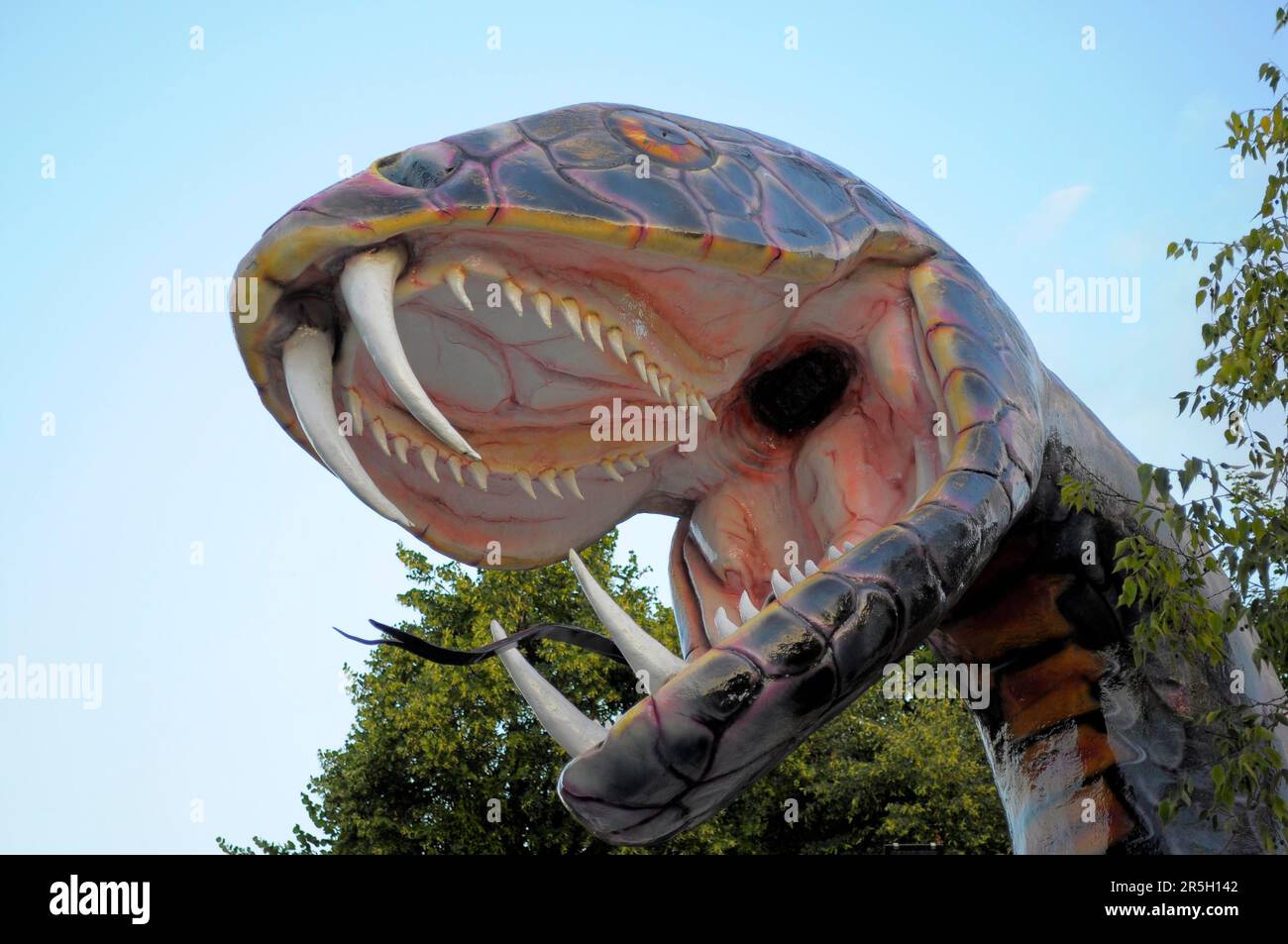 Serpent géant Banque de photographies et d’images à haute résolution ...