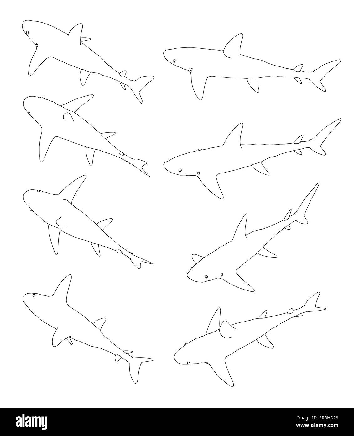Définir les contours d'un requin dans différentes positions par rapport ...