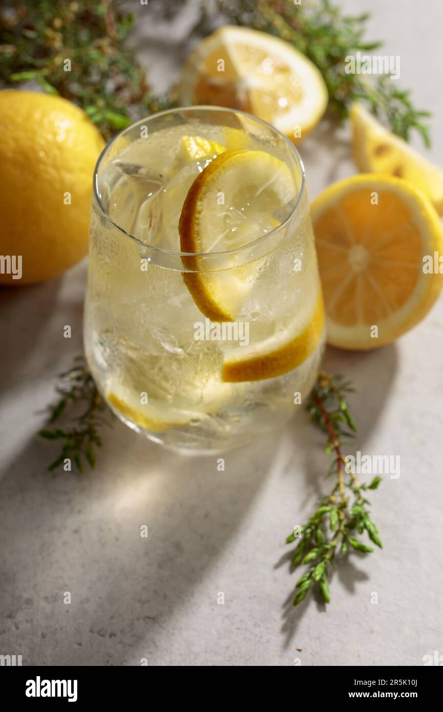 Cocktail Gin-tonique avec de la glace, du citron et des branches de ...