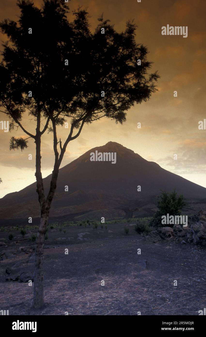 Le paysage avec le volcan et le Mont Fogo sur l'île de Fogo sur les ...