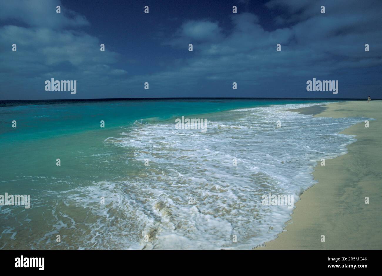 Une plage de sable blanc à la ville de Santa Maria sur l'île de Sal sur ...