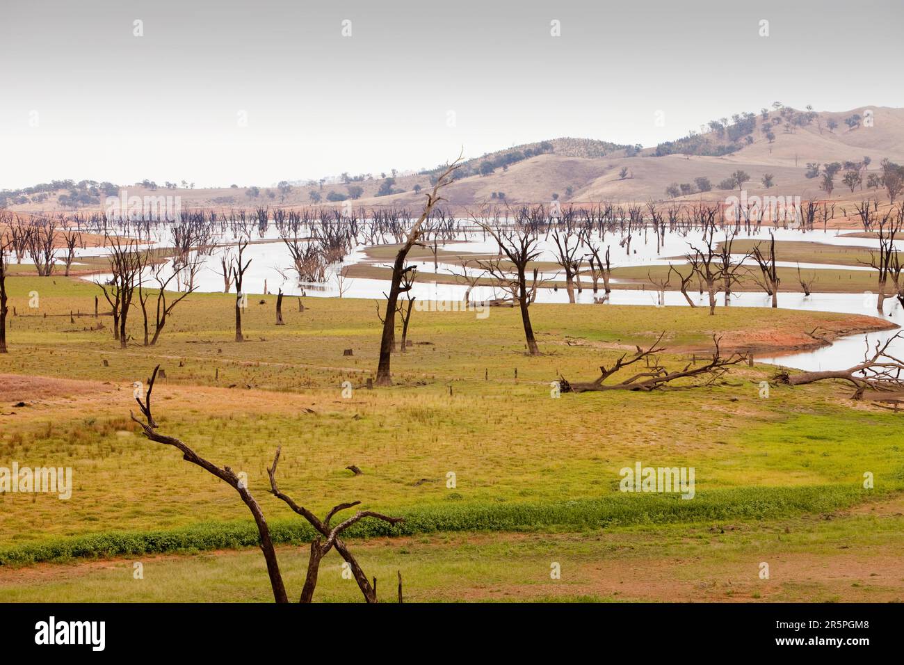 La majeure partie du Victoria et de la Nouvelle-Galles du Sud en ...
