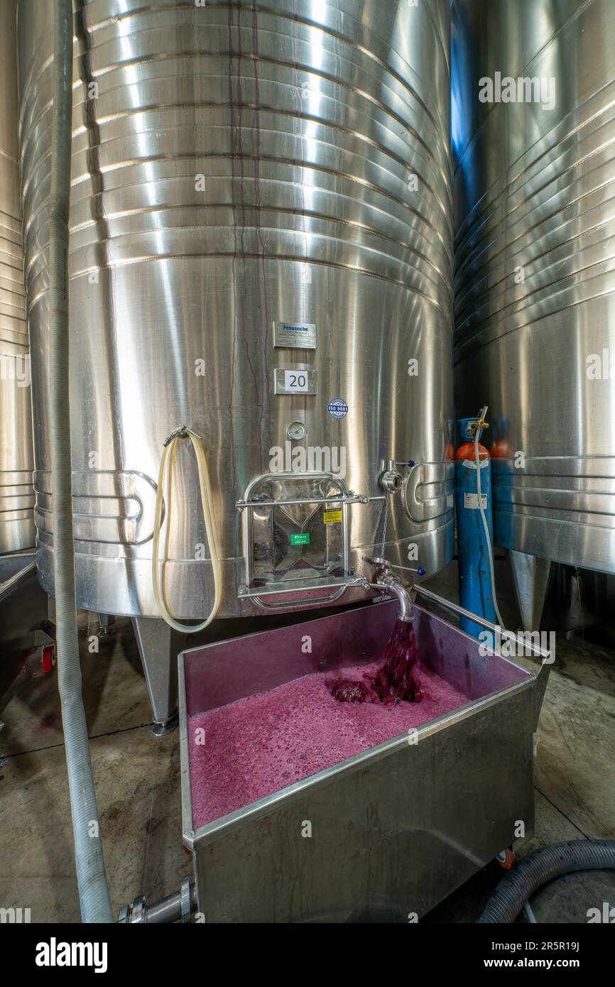 Le vin s'écoule d'une cuve de fermentation pour une pompe de ...