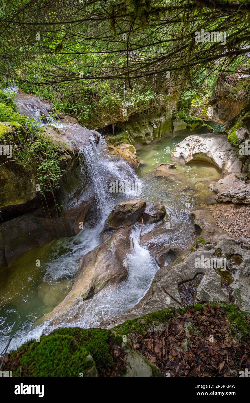 France, Ain, Artemare, Valromey, en amont de la cascade de Ceveyrieu ...