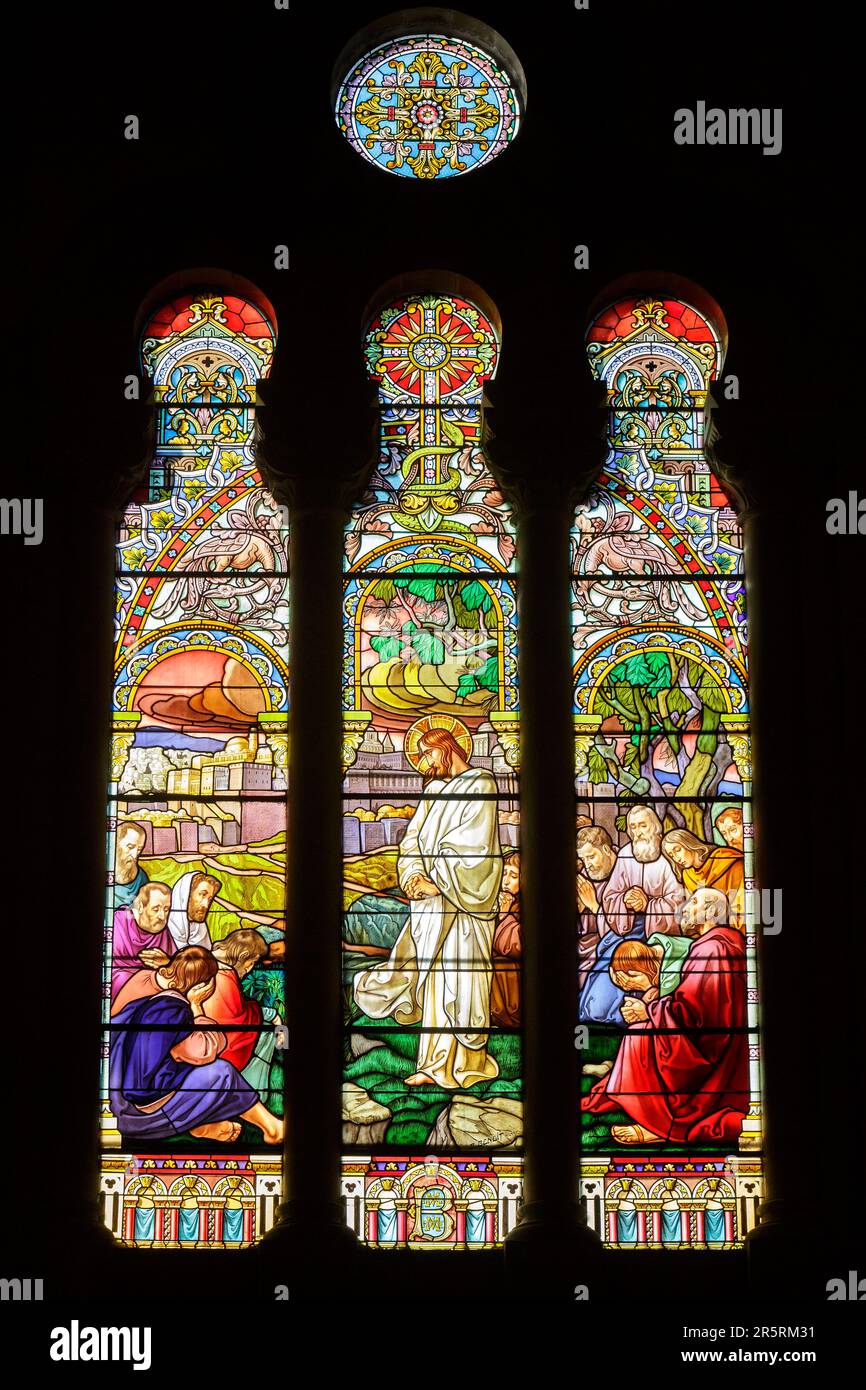 France, Meurthe et Moselle, Nancy, basilique du Sacré-cœur de Nancy de ...