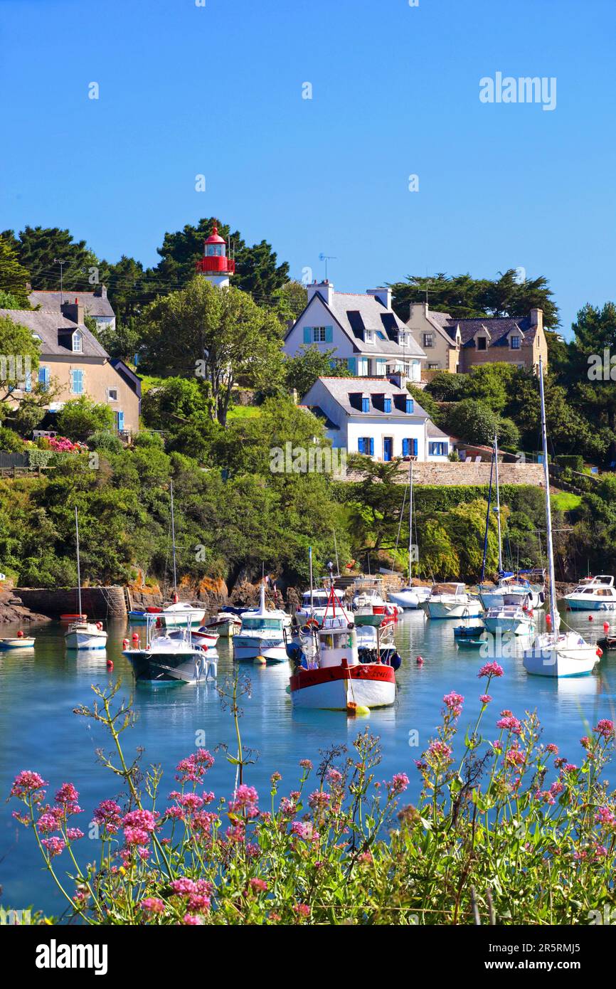 France, Finistère, Clohars Carnoet, bateaux de pêche et de plaisance ...