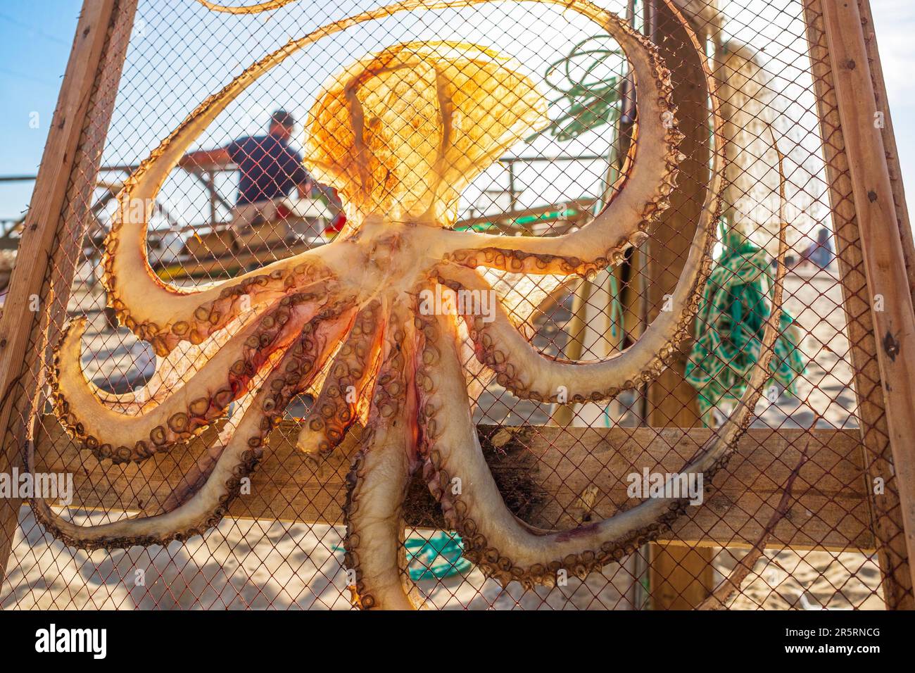 Portugal, région du Centre, Nazaré station balnéaire, Dry Fish Museum ...