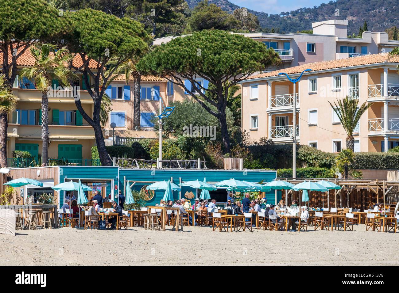 France, Var, Cavalaire-sur-Mer, face à la mer, le restaurant Tamaris ...
