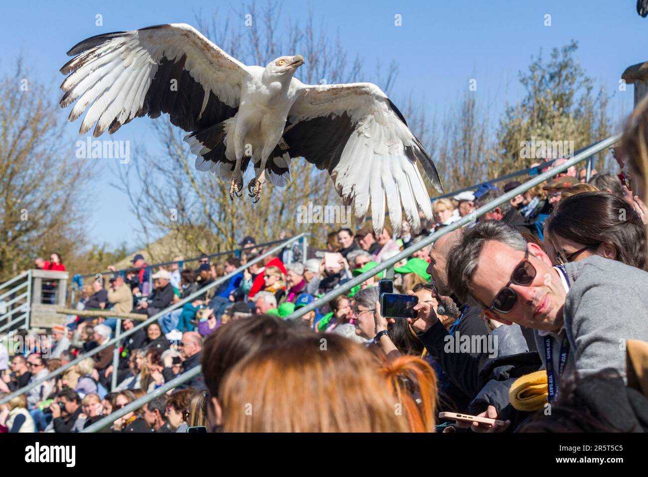 France, Indre et Loire, Vallée de la Loire classée au patrimoine ...
