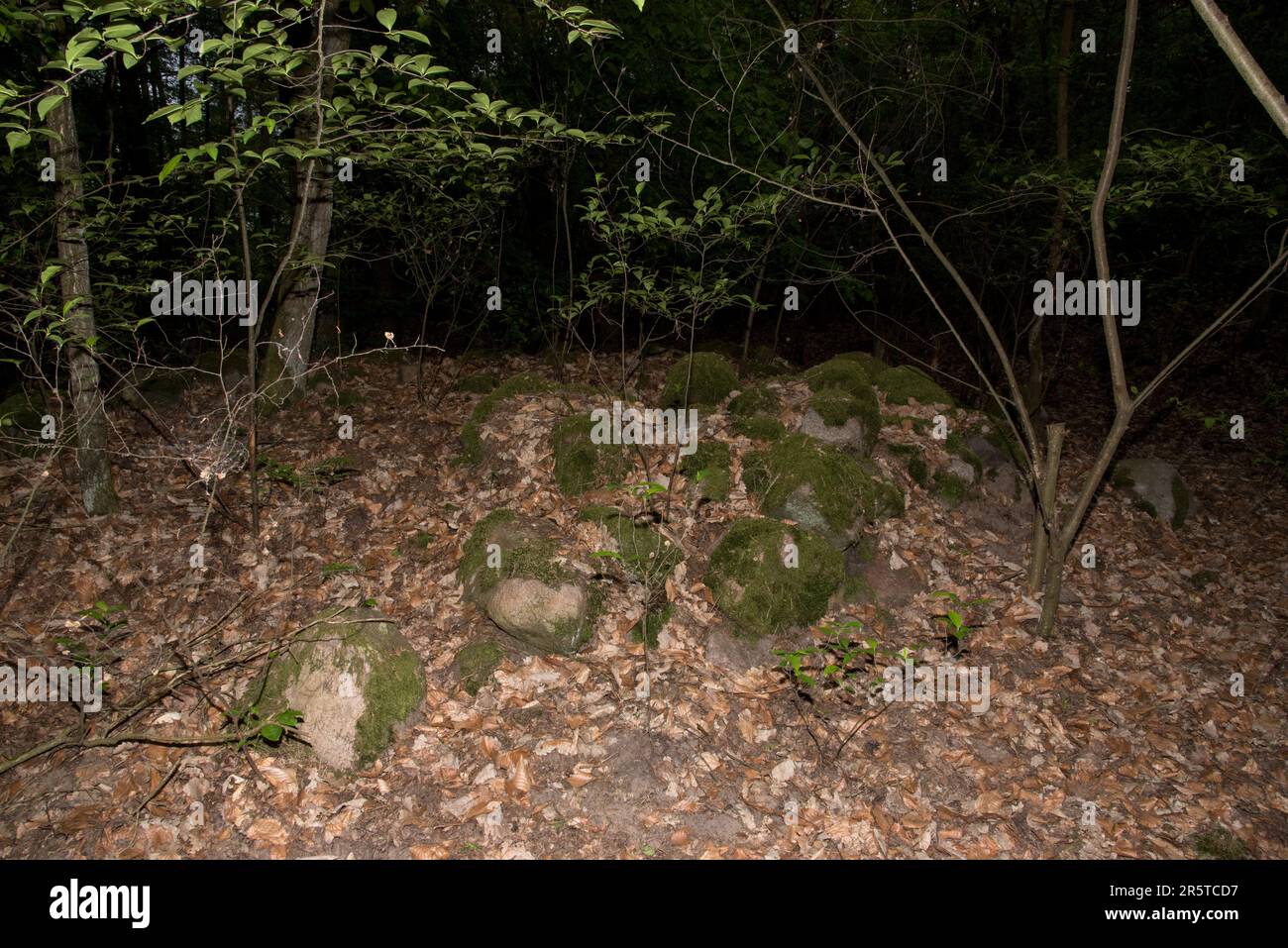 Tumulus en âge de bronze près de Stiernsee et du petit village de ...