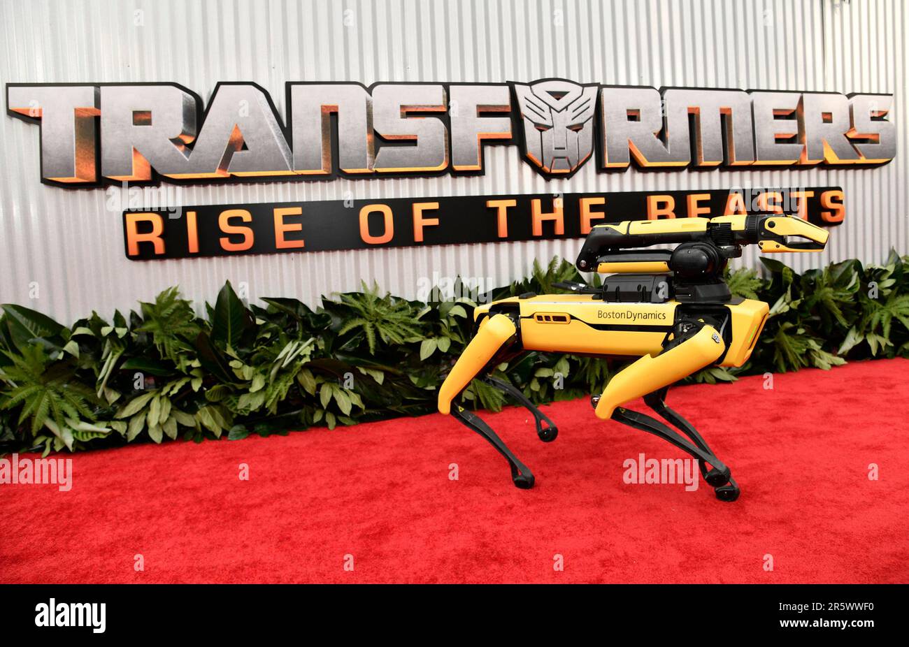 Boston Dynamics' robot Spot appears on the red carpet at the premiere ...