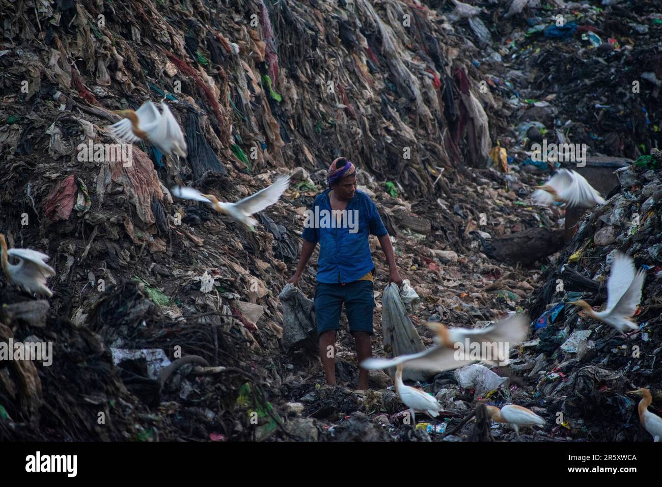 GUWAHATI, INDE, 4 JUIN : les personnes à ragoût collectent des articles ...
