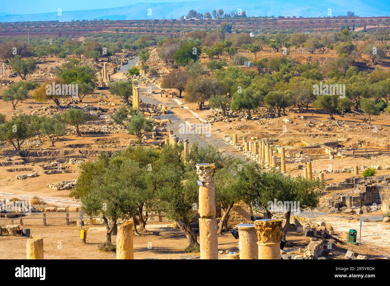 Route romaine d'Umm Qais Gadara dans le nord de la Jordanie. Il est ...