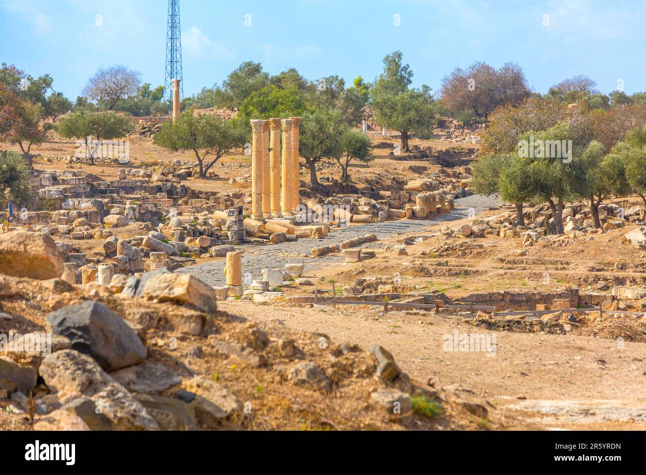 Route romaine d'Umm Qais Gadara dans le nord de la Jordanie. Il est ...
