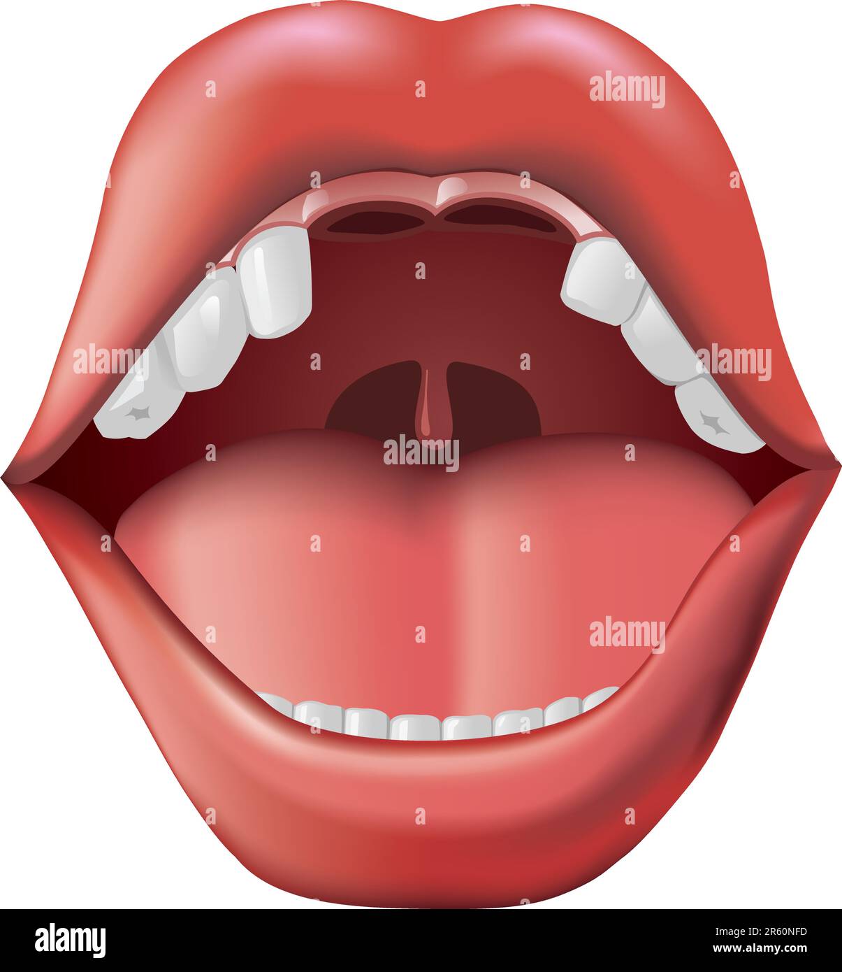 Une bouche ouverte avec des dents Banque d'images vectorielles - Alamy