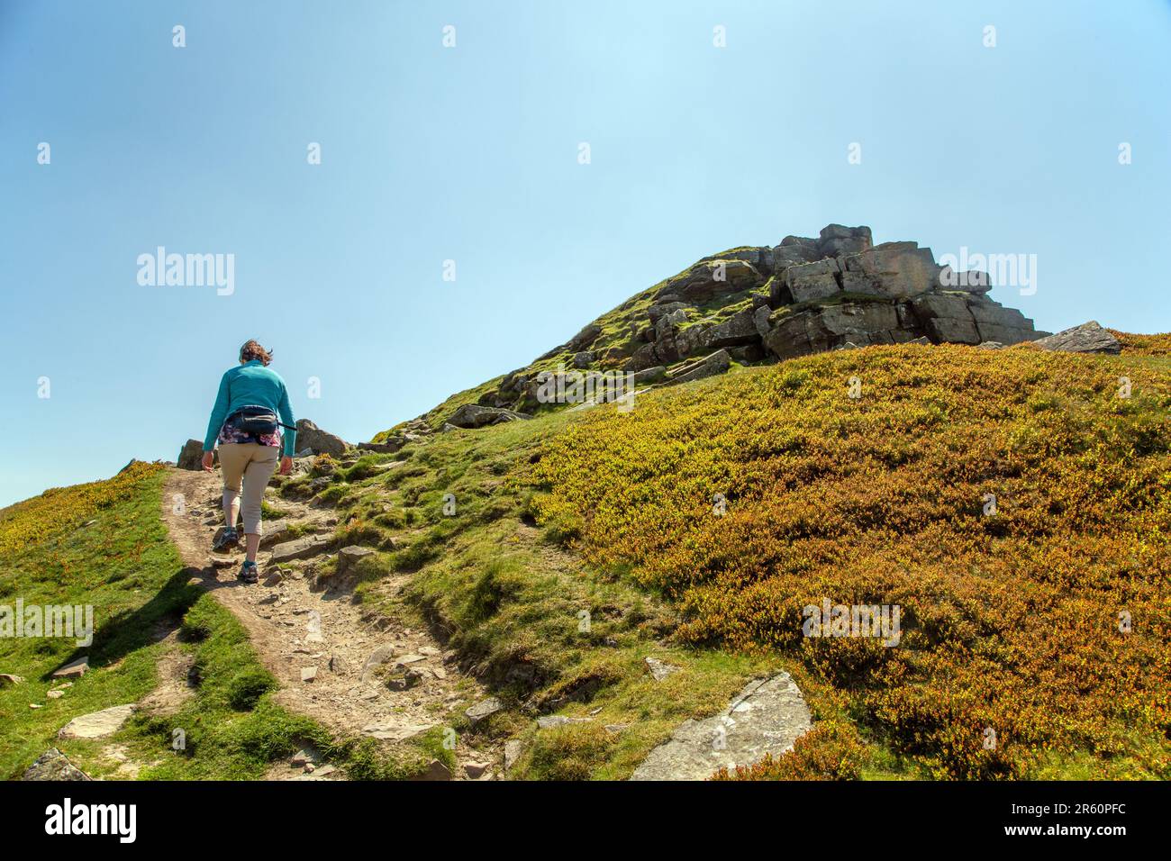 Femme marchant jusqu'au sommet de Table Mountain ou Crug Hywel, au ...