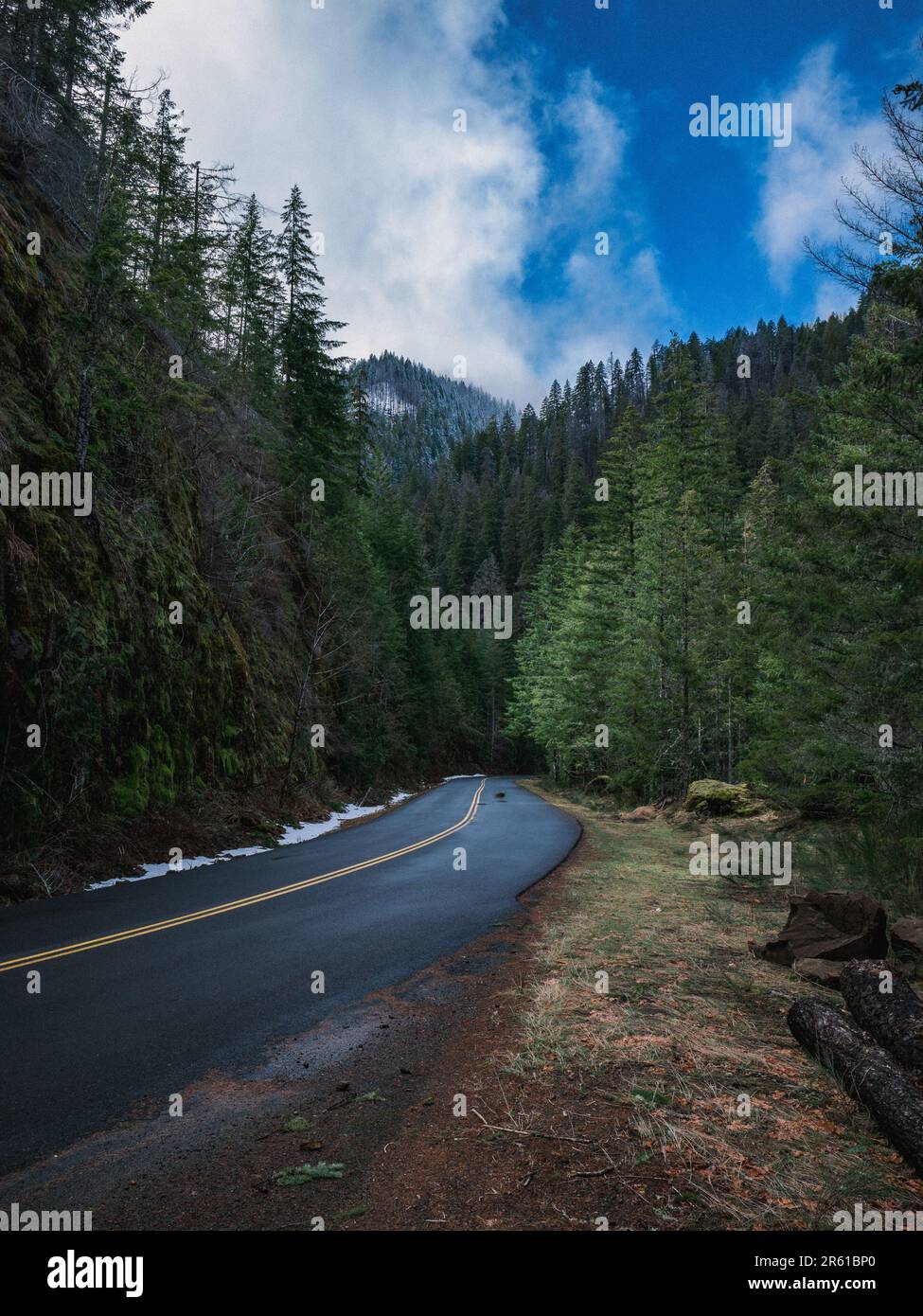 Une vue panoramique sur une route sinueuse à travers une forêt ...