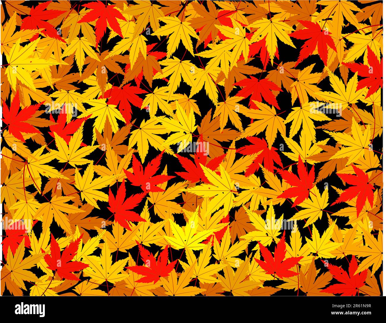 Feuille de hêtre Banque d'images vectorielles - Alamy