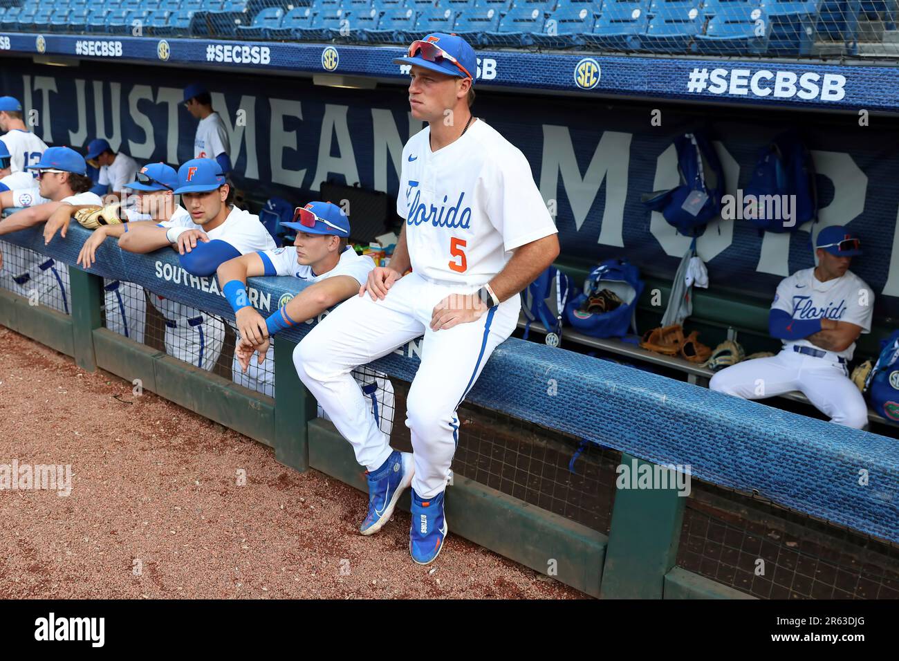 HOOVER, AL - MAY 24: Florida Gators infielder Colby Halter (5) sits on ...