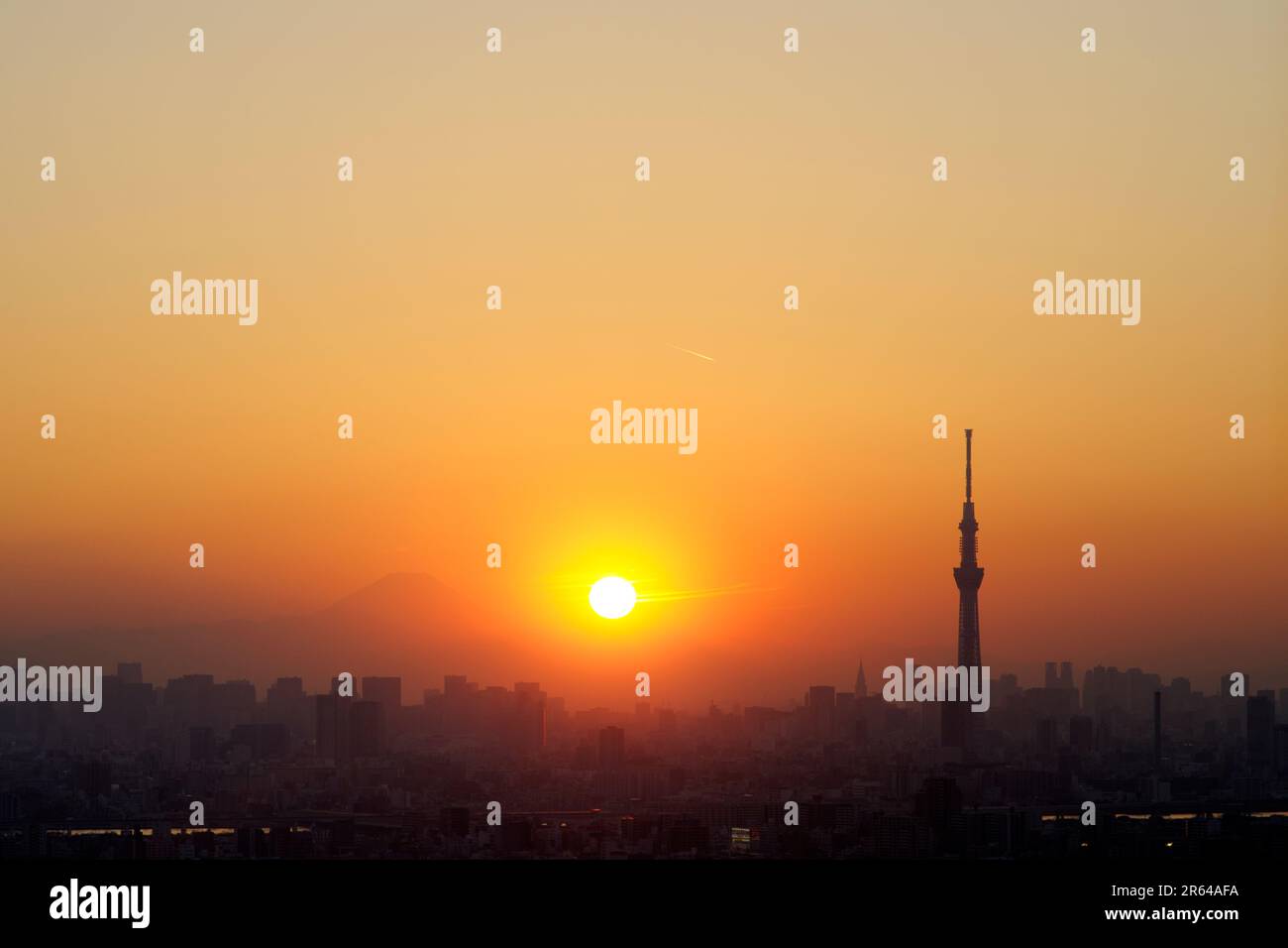 Les gratte ciel de tokyo brillent Banque de photographies et d’images à ...
