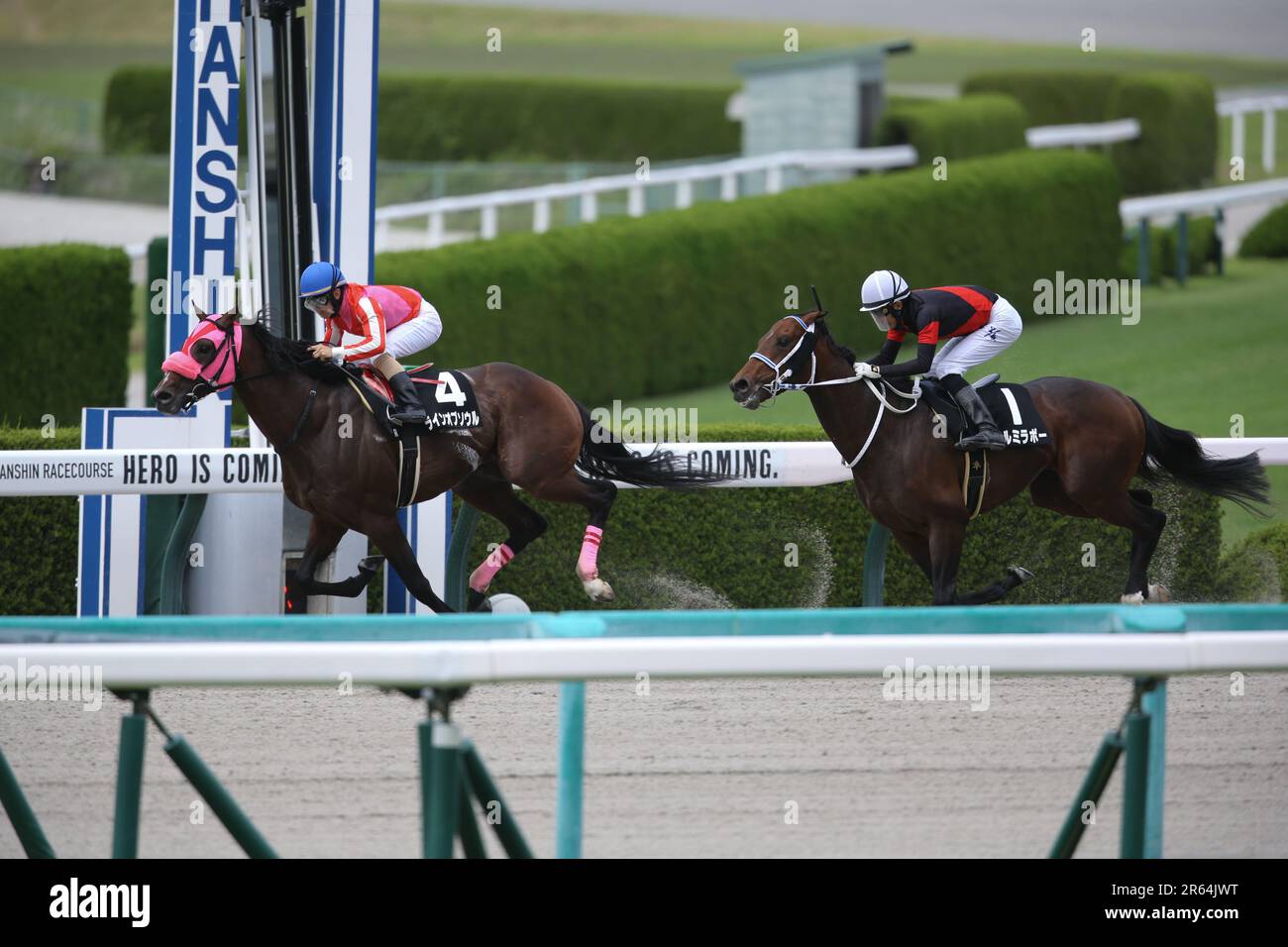 HANSHIN 09R KAKAGAWA TOKUBETSU à l'hippodrome de Hanshin à Hyogo, Japon ...