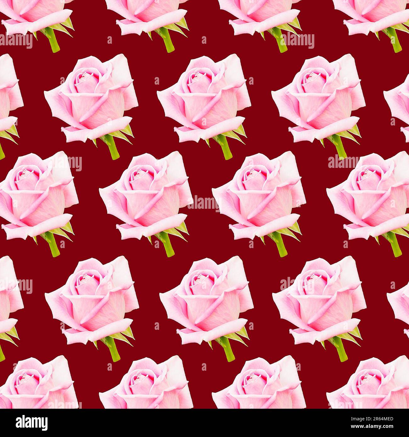 Motif de rose Banque de photographies et d’images à haute résolution ...