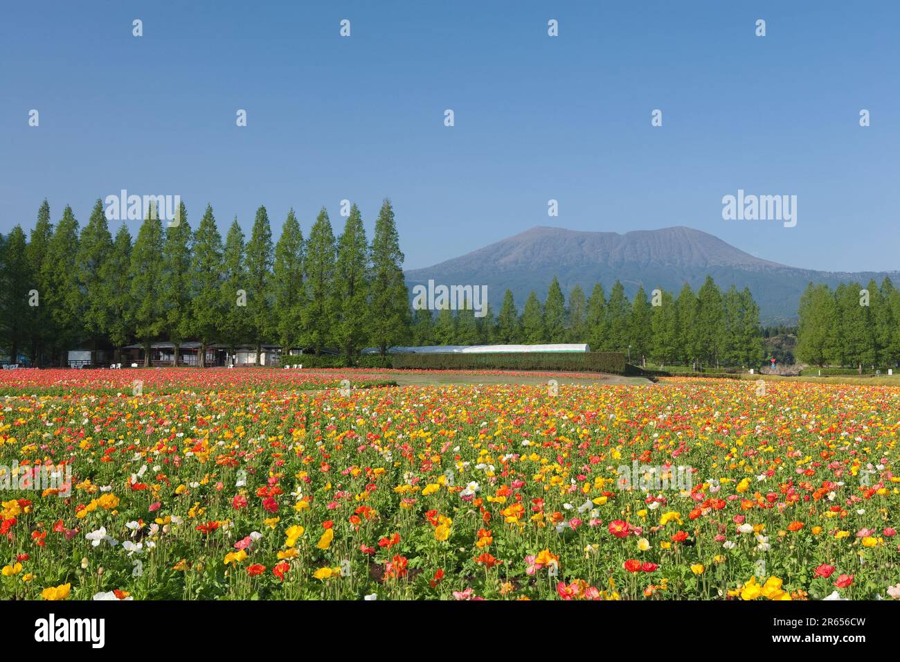 Mont karakunidake Banque de photographies et d’images à haute ...