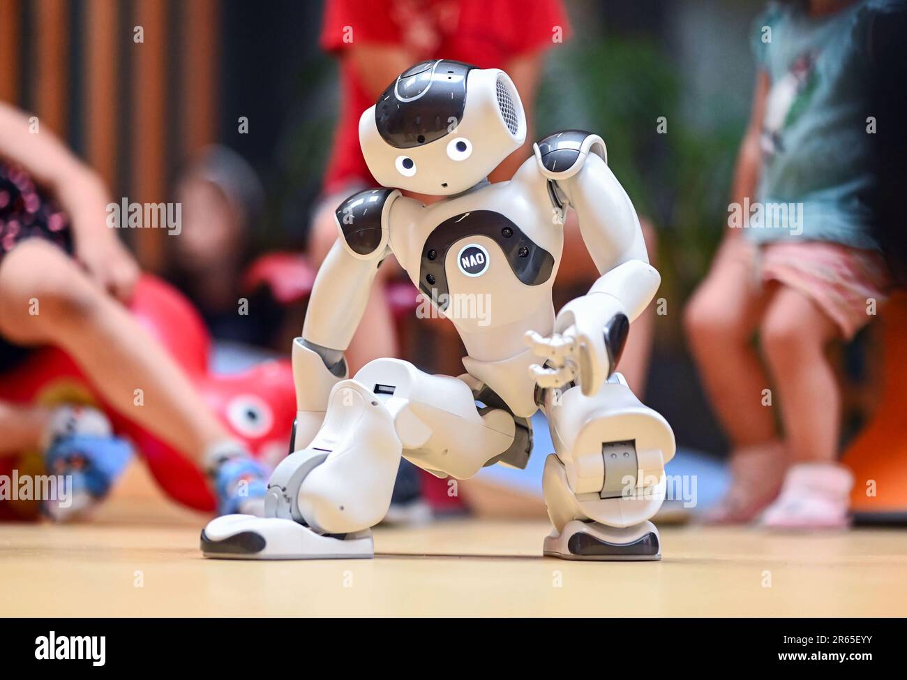 Projet de robotique humanoïde Banque de photographies et d’images à ...