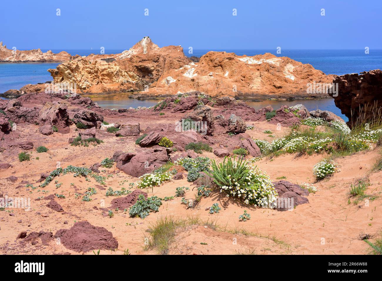 Grès rouge (avant) et kératophyre de quartz (bas). Le grès est une ...