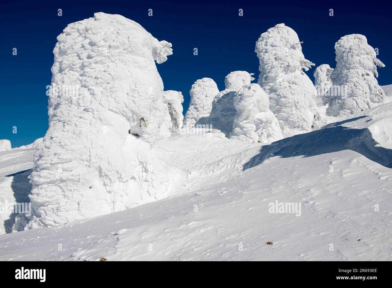 Mont zao Banque de photographies et d’images à haute résolution - Alamy