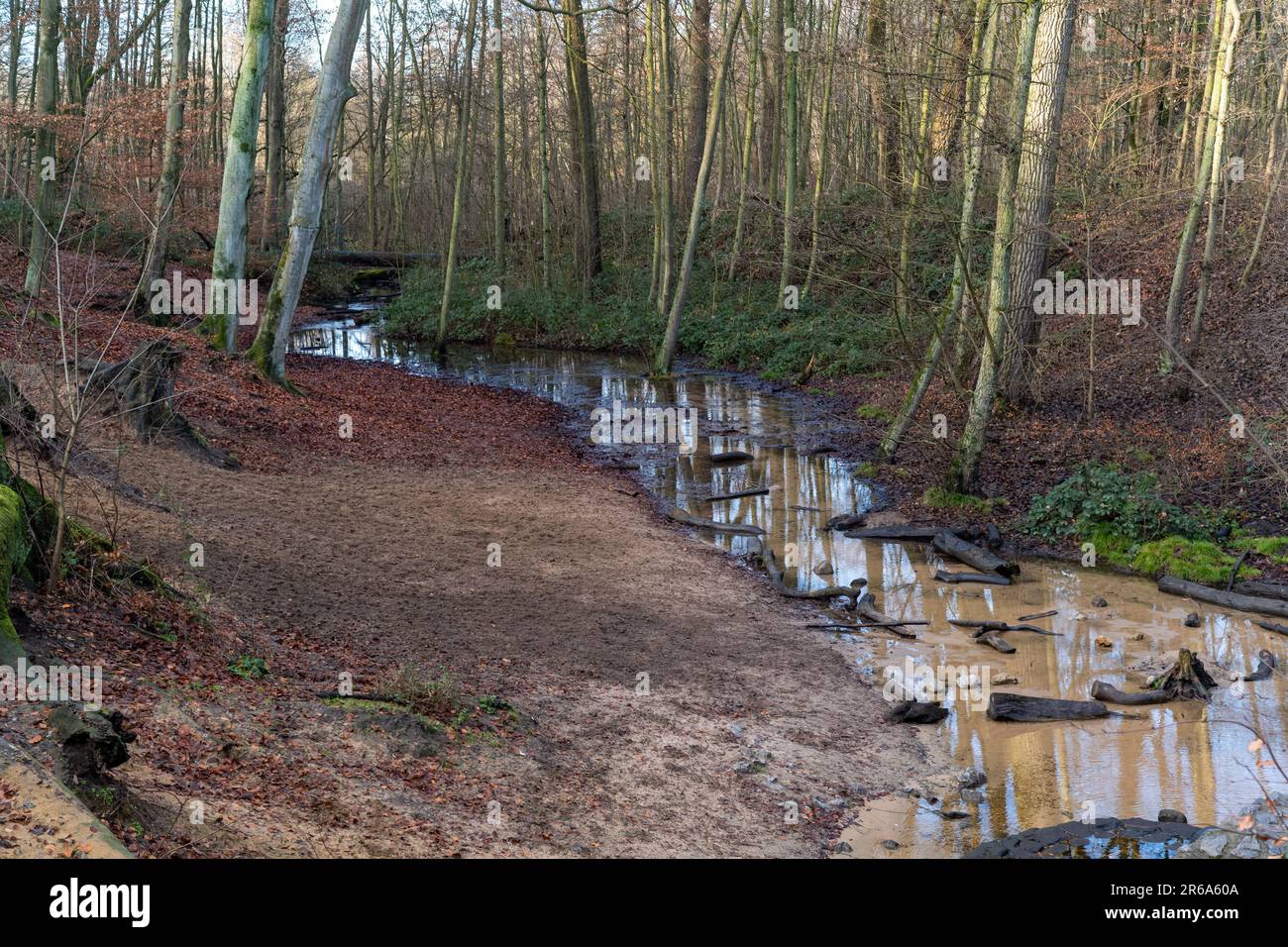 Une scène en plein air avec un sentier de terre qui s'enroule à travers ...