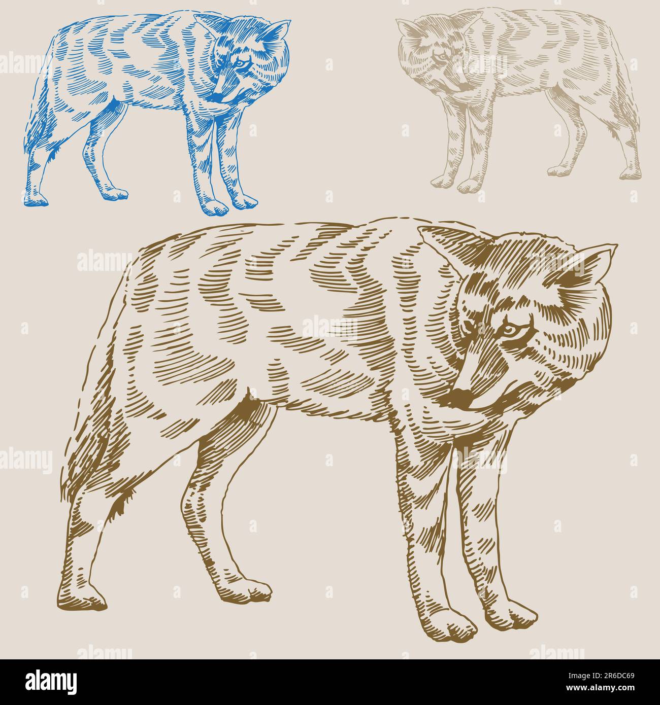 Loup clipart Banque d'images vectorielles - Alamy