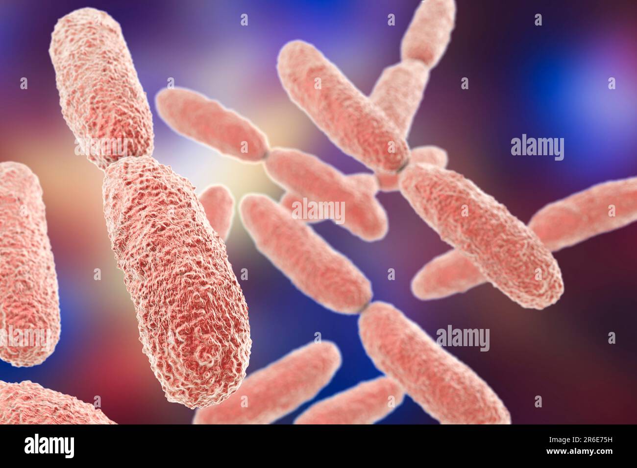 Bactérie Klebsiella pneumoniae, illustration informatique. K ...