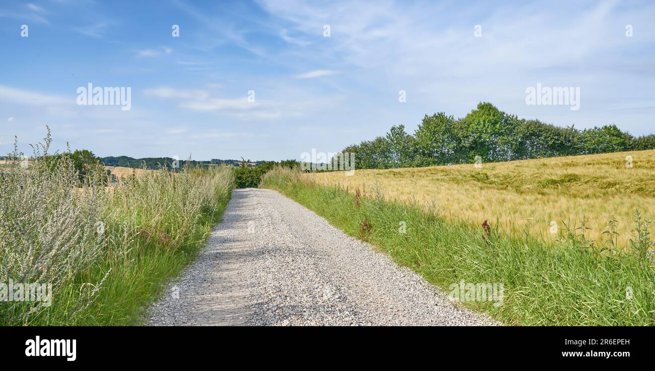 Campagne, route et chemin pour conduire sur la ferme, forêt ou paysage ...