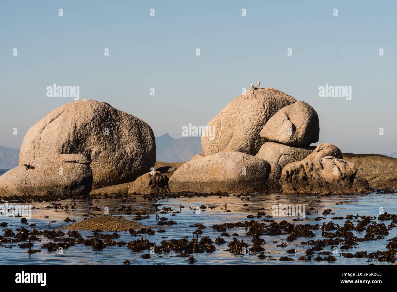 Rochers et rochers en mer Banque de photographies et d’images à haute ...