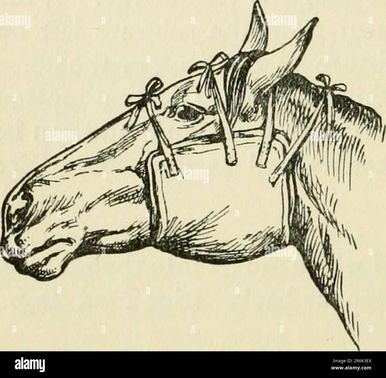 L'encyclopédie de l'écurie : un manuel complet du cheval, de ses races ...