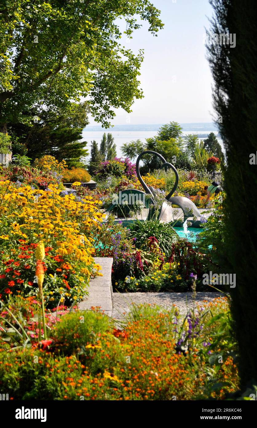 Île Mainau sur le lac de Constance, fleurs vivaces Photo Stock - Alamy