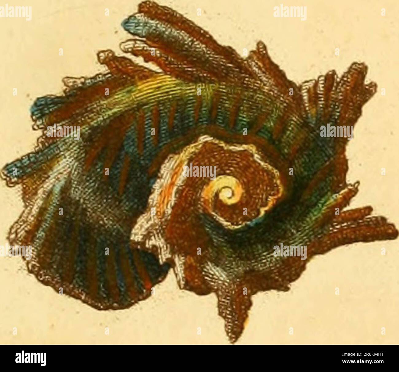 Encyclodinensis, Or, Dictionnaire universel des arts, des sciences et ...